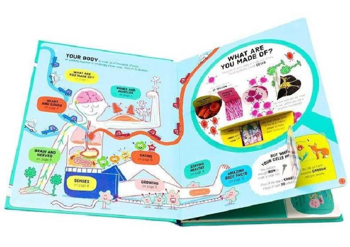 Mengenal Bagaimana Tubuhmu Bekerja – Tajria